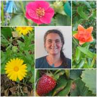 Sabine Reiter – Die Selbstversorgerin